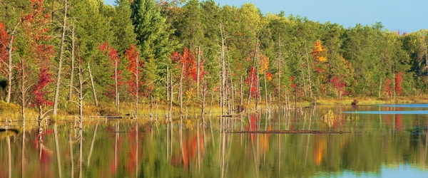 Roberts Lake - The Dam - Cheboygan County MI Fishing Michigan Interactive™