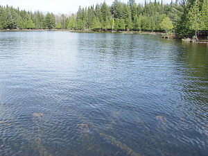 East Shore Midwater Hump Cisco Lake Cisco Lakes Chain Gogebic County ...