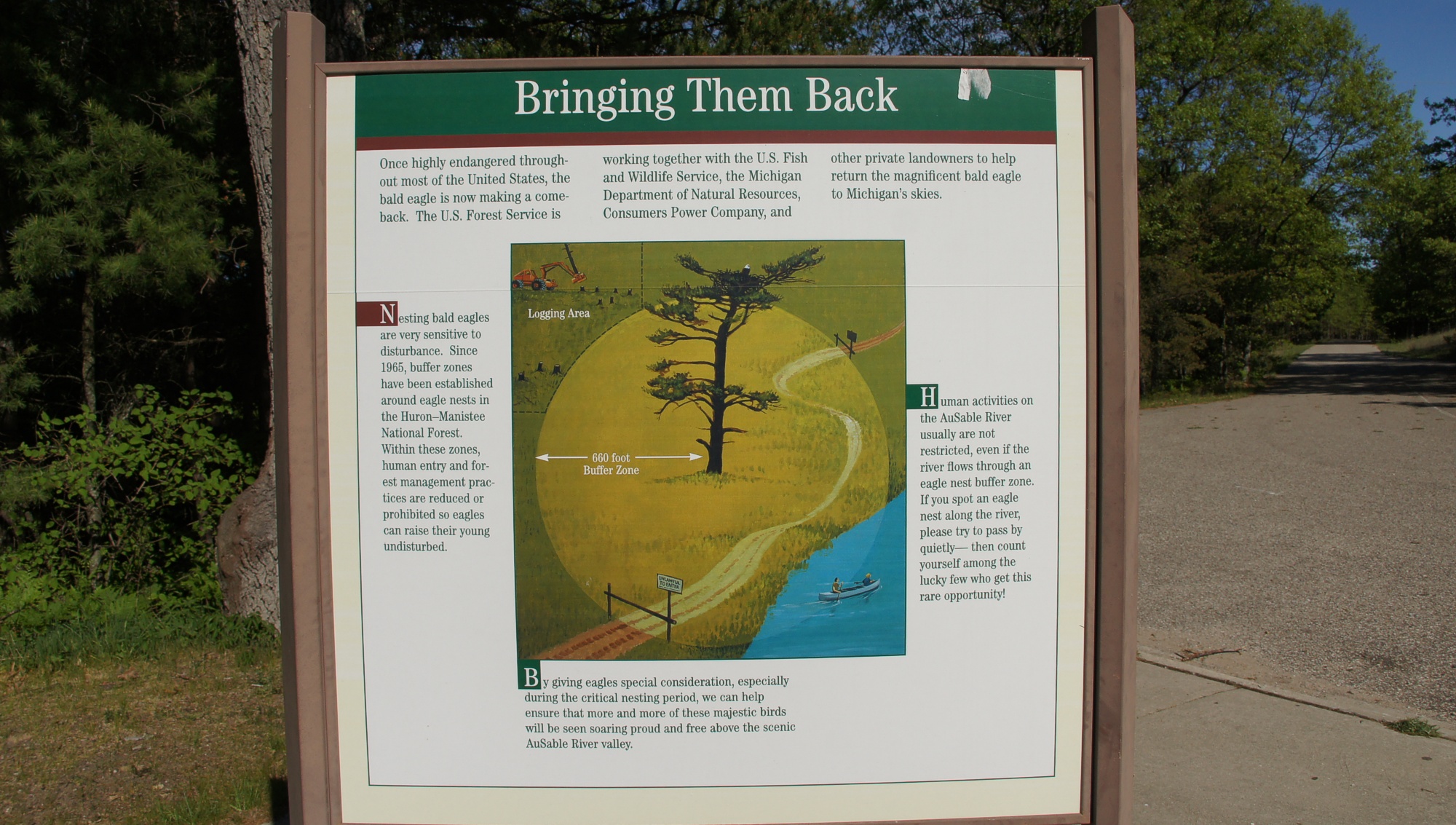 Au Sable River - Foote Pond Overlook - Iosco County Michigan Interactive™