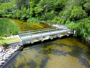 Brevort Lake Brevort River Mackinac County Michigan Interactive™