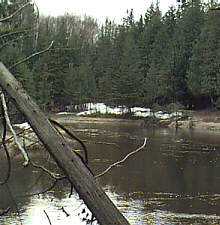 Ocqueoc River US-23 Presque Isle County County Canoeing Kayaking Tubing ...
