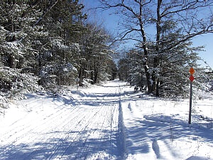Silver Creek Snowmobile US-23 Parking Snowmobiling Cheboygan Trails Map ...